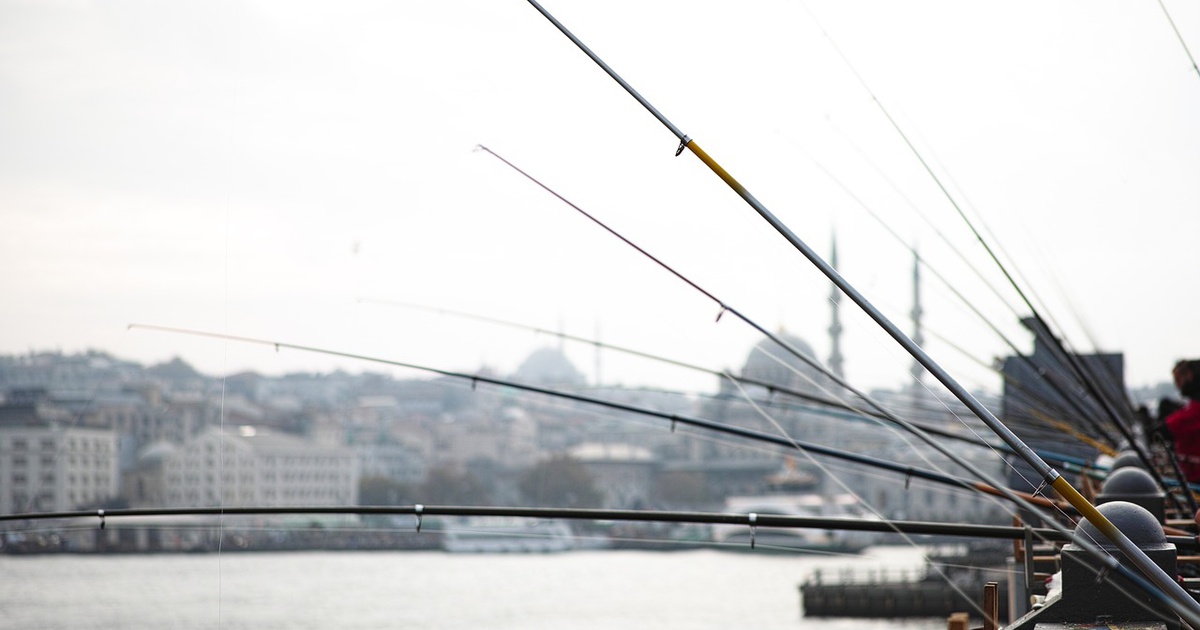 The Most Expensive Fishing Rod You Can Buy: Features and Benefits | B & T